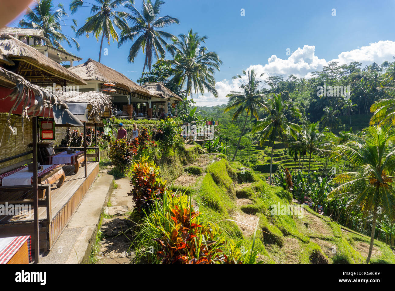 Tegalalang Rice Terraces Stock Photo - Alamy