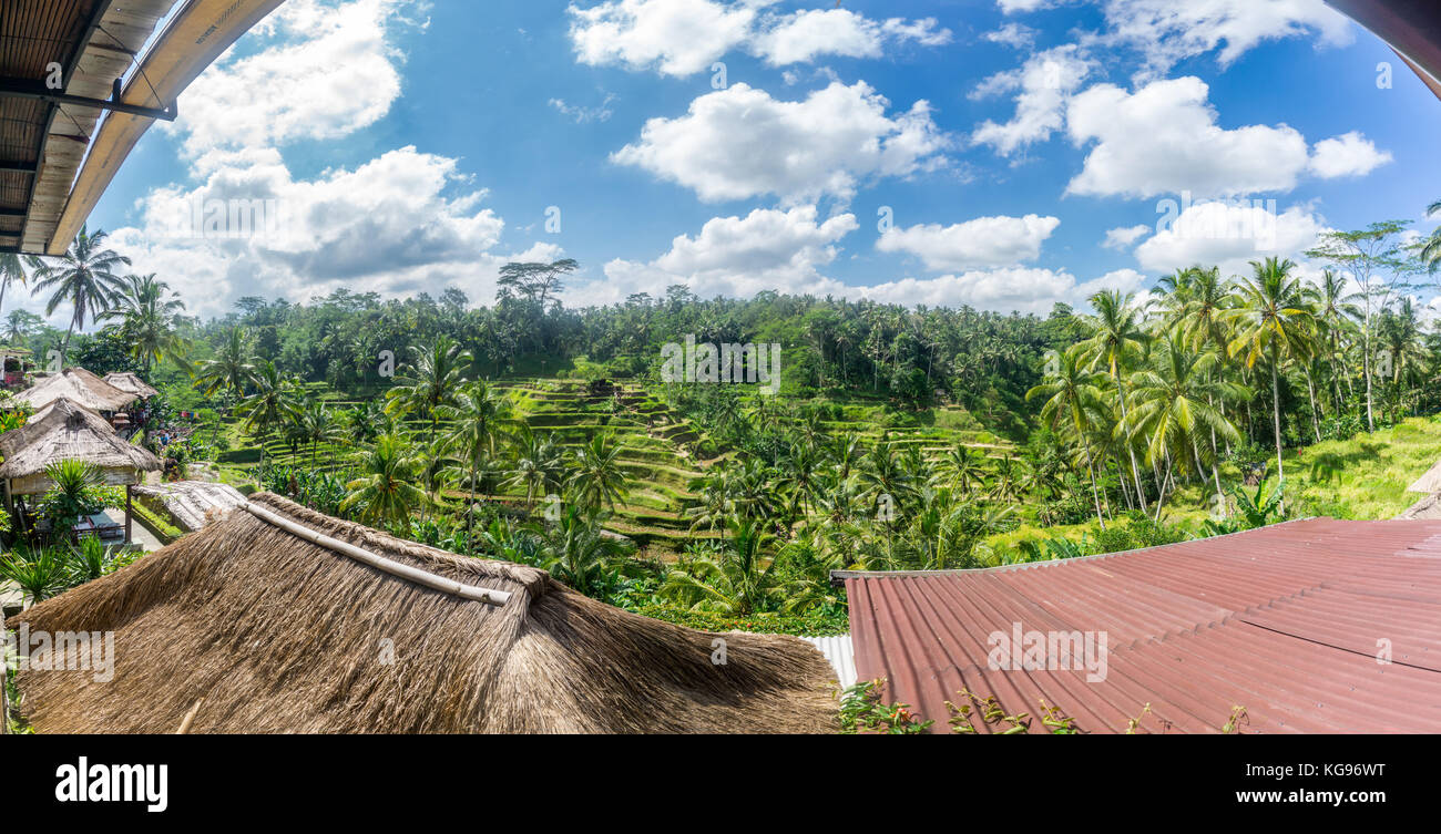 Tegalalang Rice Terraces Stock Photo - Alamy