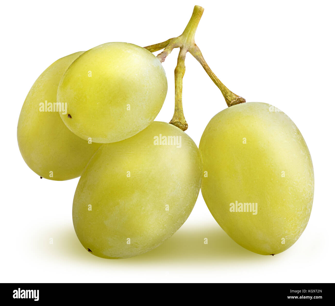 Branch of Muscat Grape isolated on white background with clipping path ...