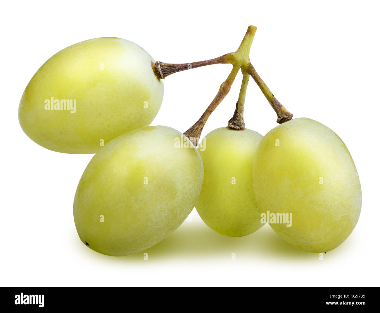 Muscat grape hi-res stock photography and images - Alamy