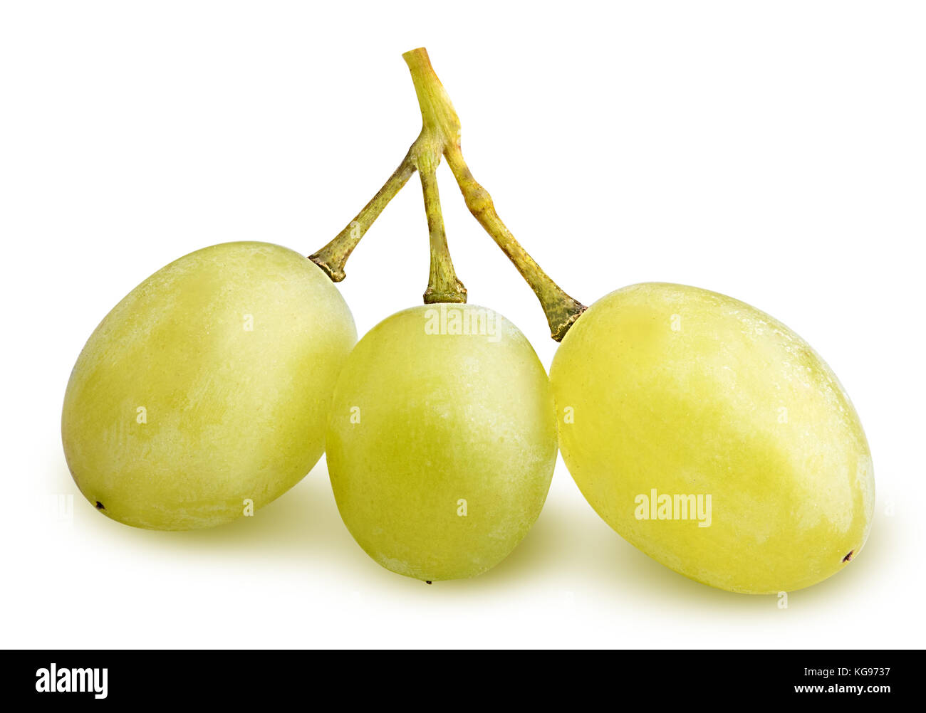 Branch of Muscat Grape isolated on white background with clipping path ...
