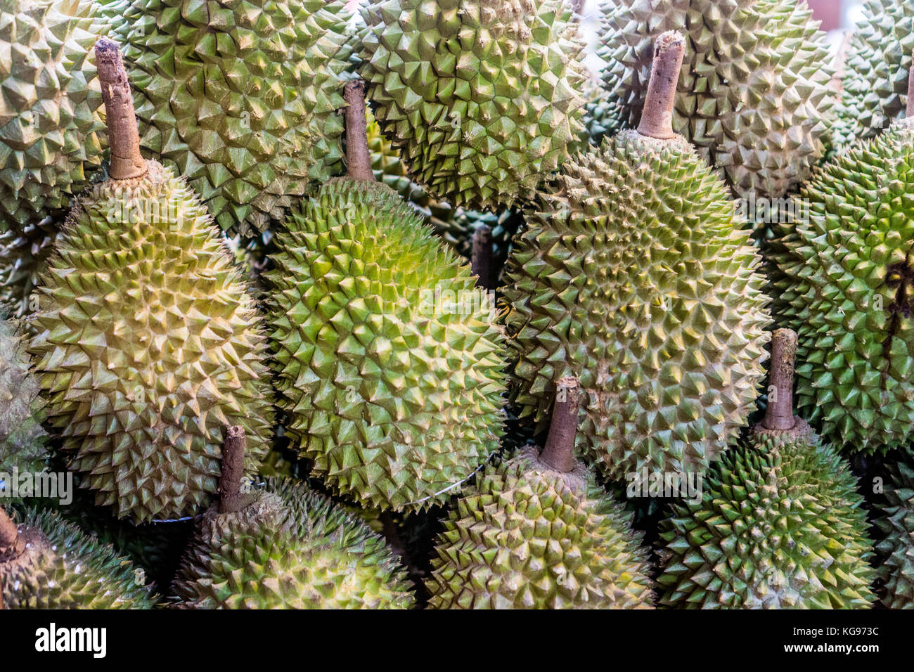 Durian shape hi-res stock photography and images - Alamy