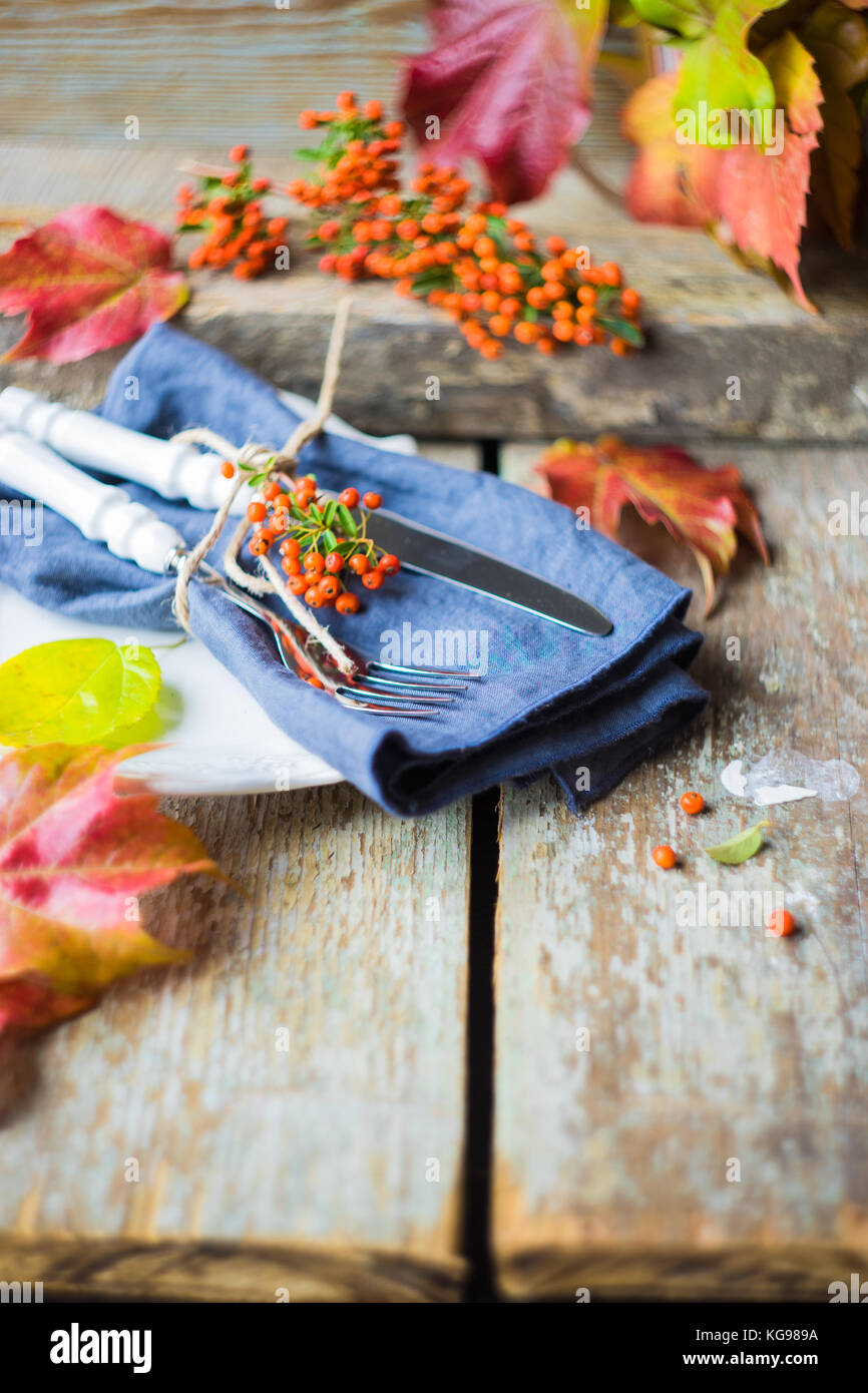 Autumnal table setting with bright red and orange wild berries on ...