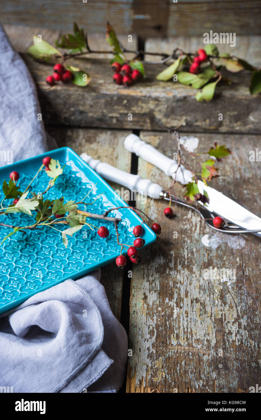 Autumnal table setting with bright red and orange wild berries on ...