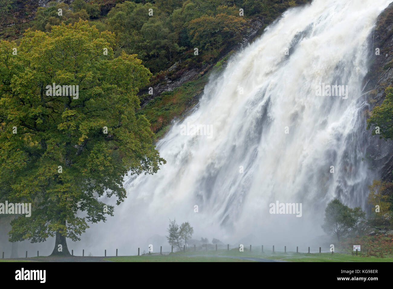 Powerscourt Waterfall, Enniskerry, Co. Wicklow, Ireland Stock Photo - Alamy