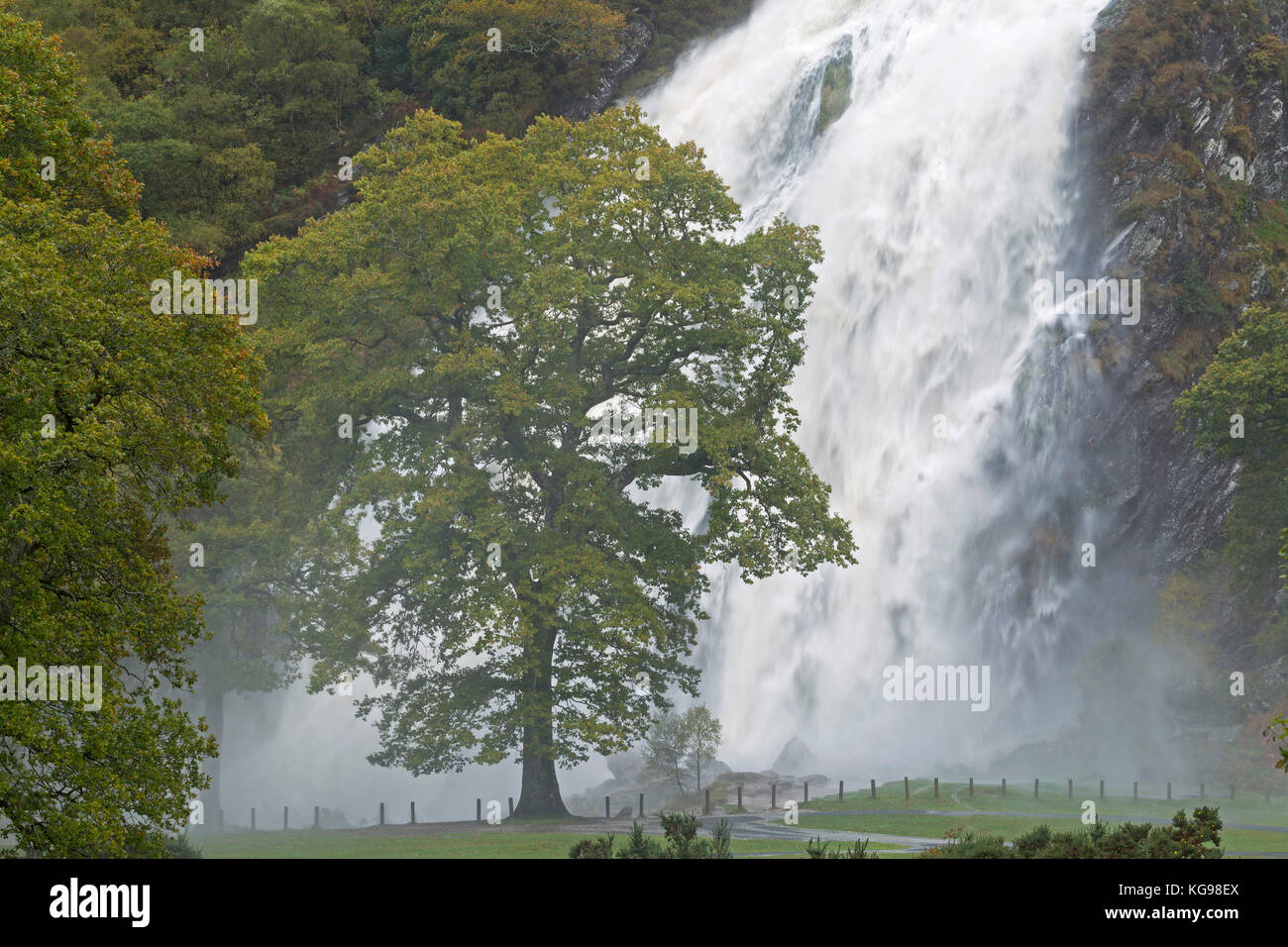 Powerscourt Waterfall, Enniskerry, Co. Wicklow, Ireland Stock Photo - Alamy