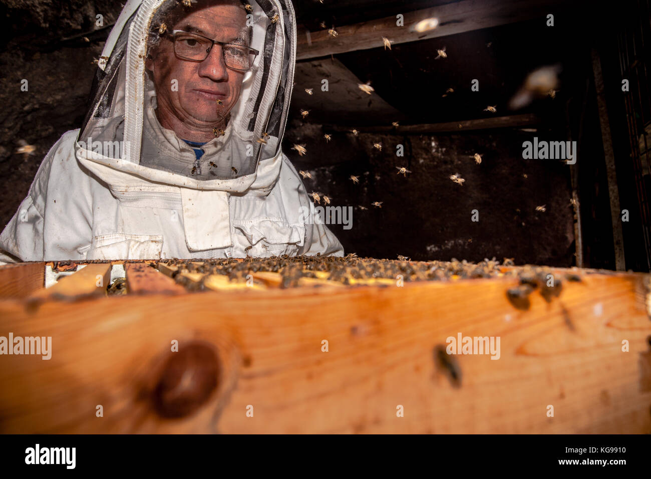 Human beehive hi-res stock photography and images - Alamy