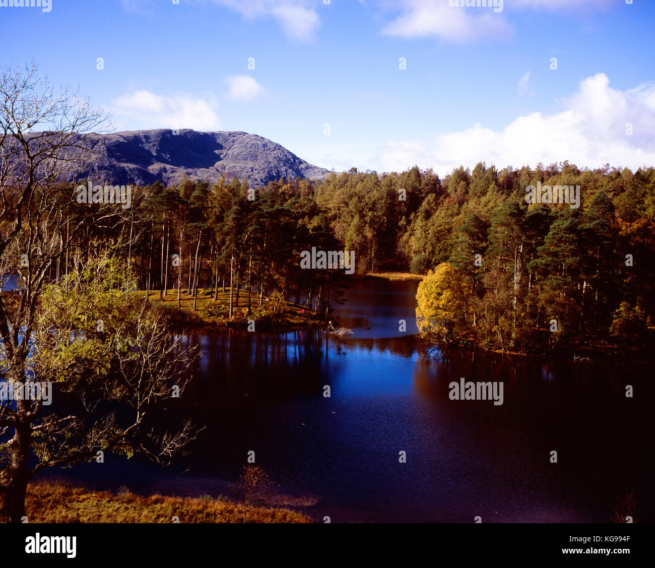 A view of Tarn Hows with The Old Man of Coniston and Wetherlam in the ...