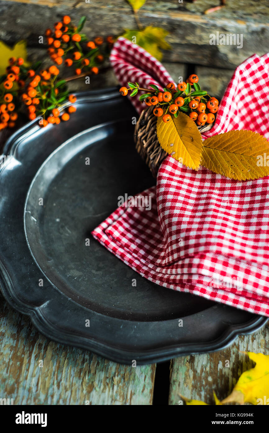 Autumnal table setting with bright red and orange wild berries on ...