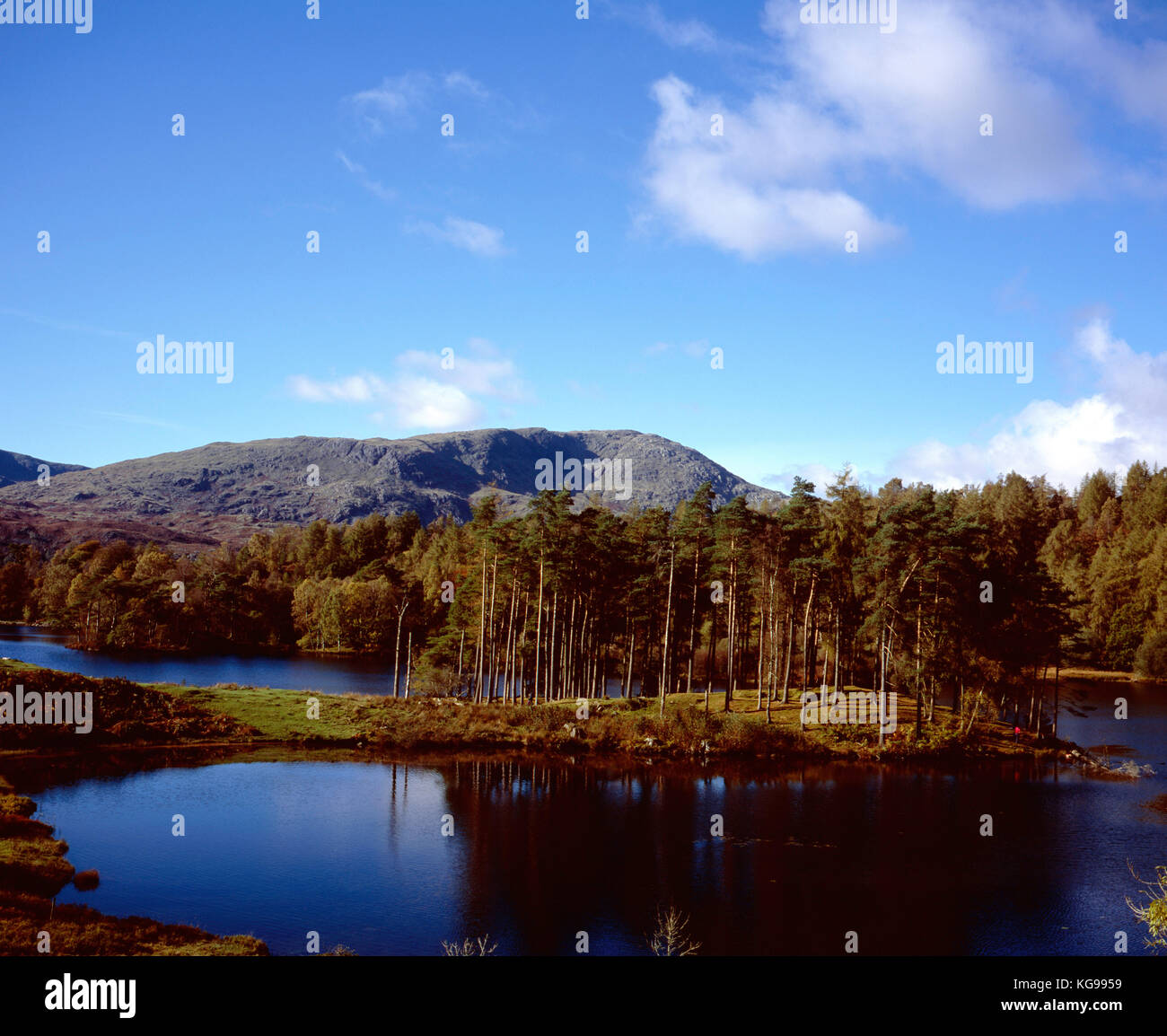 A view of Tarn Hows with The Old Man of Coniston and Wetherlam in the ...