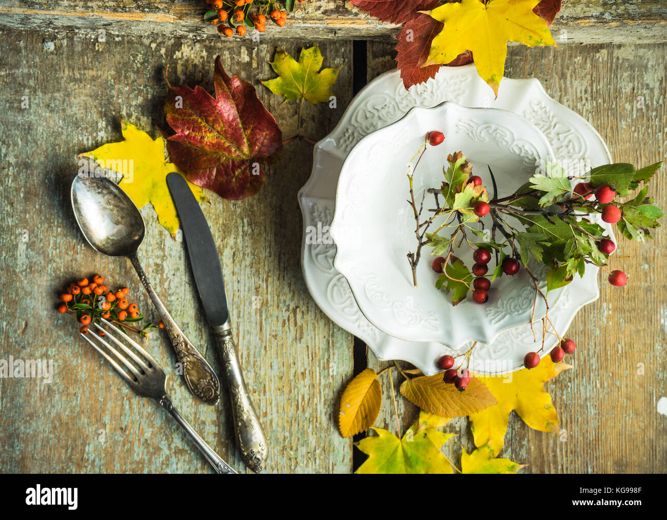 Autumnal table setting with bright red and orange wild berries on ...