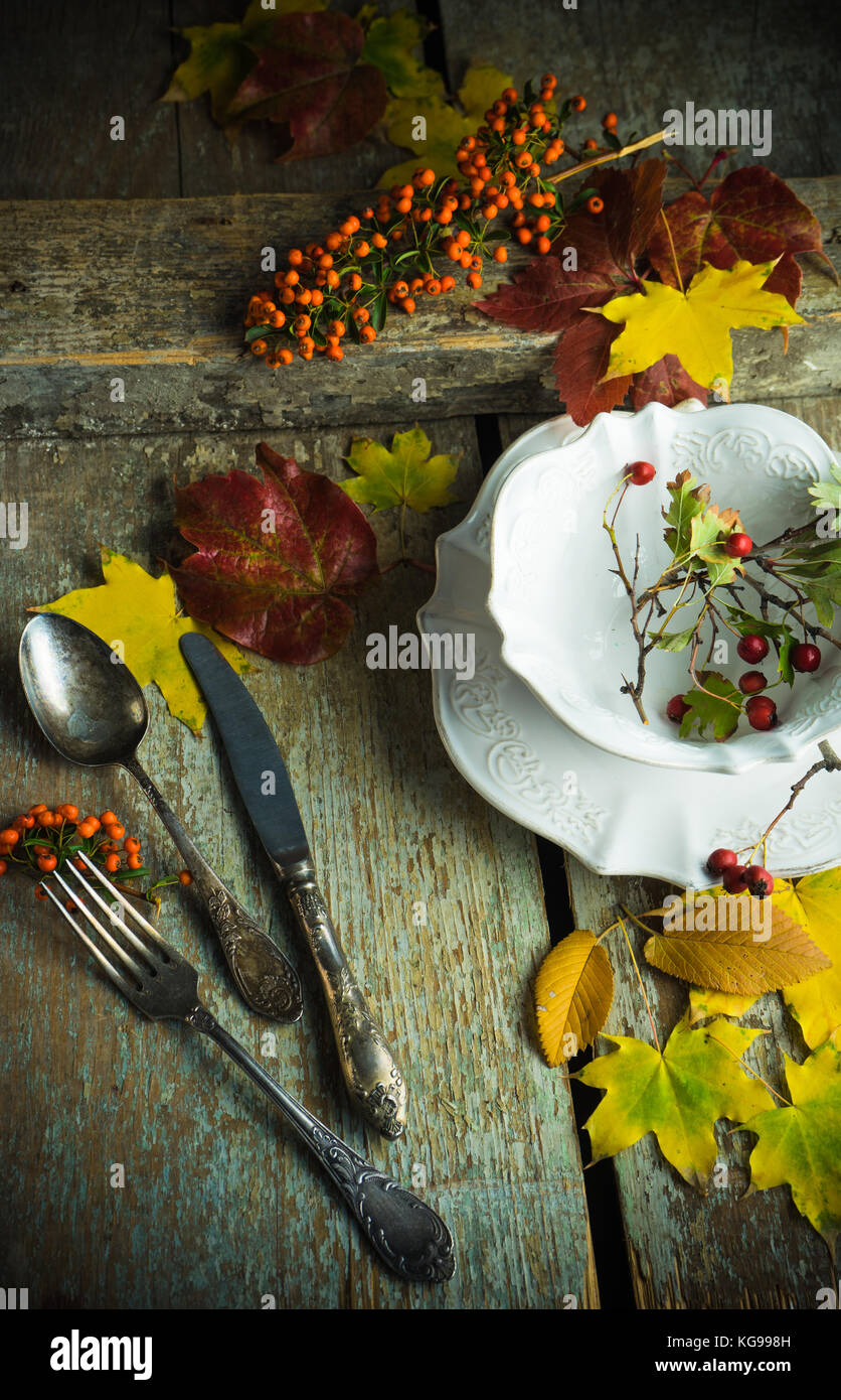 Autumnal table setting with bright red and orange wild berries on ...