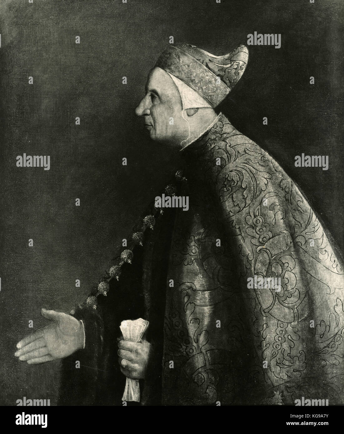 Doge portrait hi-res stock photography and images - Alamy