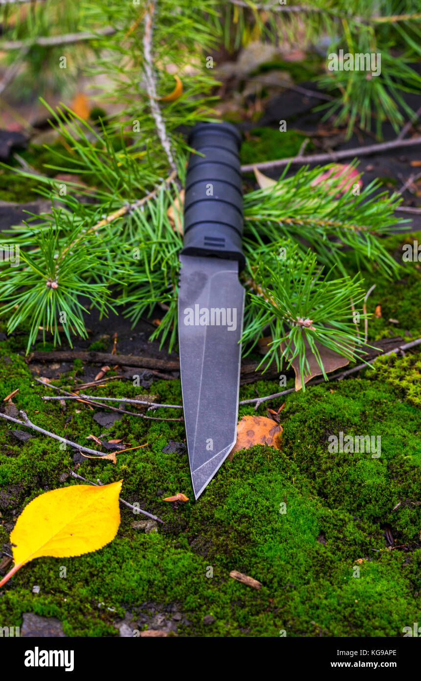 Tactical weapons hi-res stock photography and images - Alamy