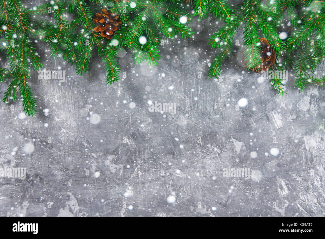 Spruce New Year branches with cones on top of a gray concrete ...