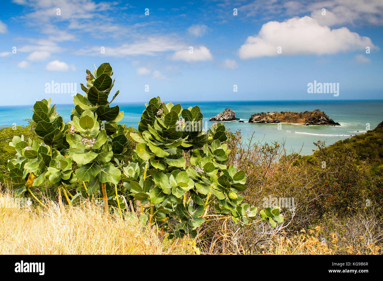 Caribbean landscape travel venezuela hi-res stock photography and ...