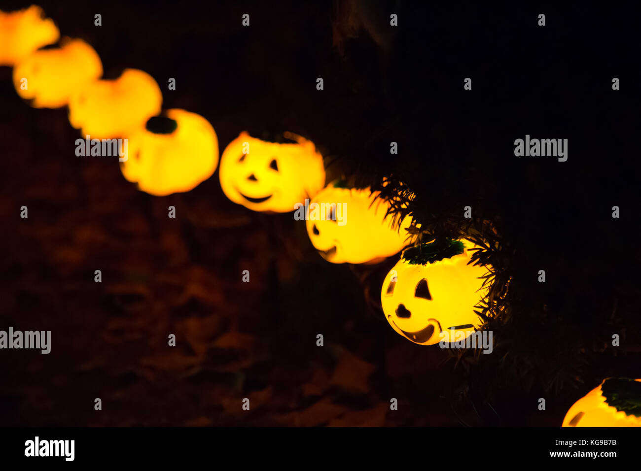 Many small pumpkins illuminated halloween lanterns Stock Photo - Alamy