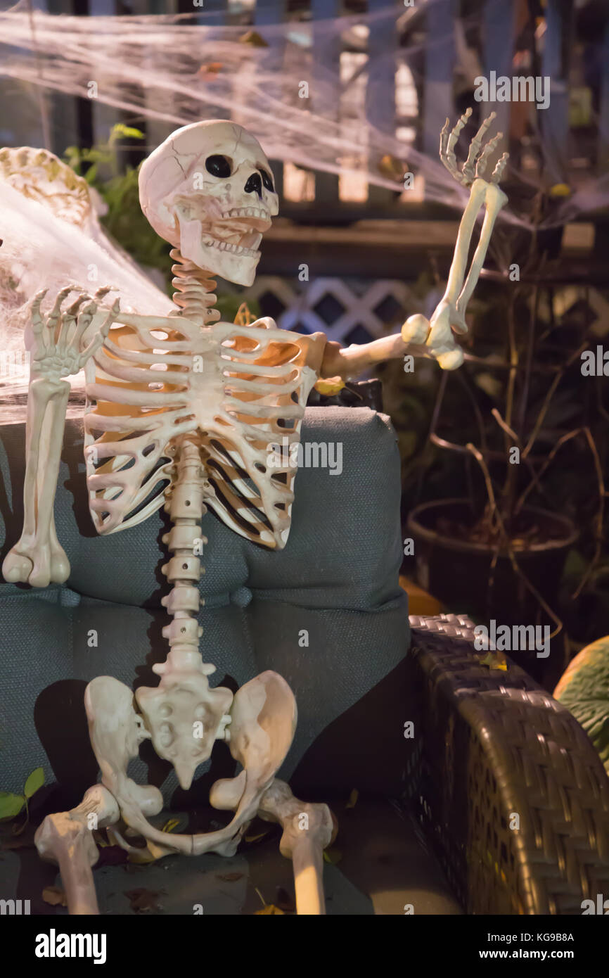 Spider web skeleton halloween design nobody Stock Photo - Alamy