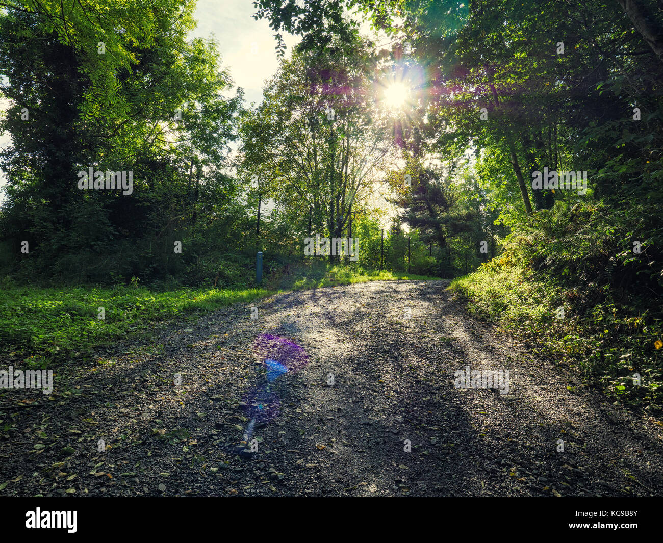 Early Autumn countryside morning,Northern Ireland Stock Photo - Alamy
