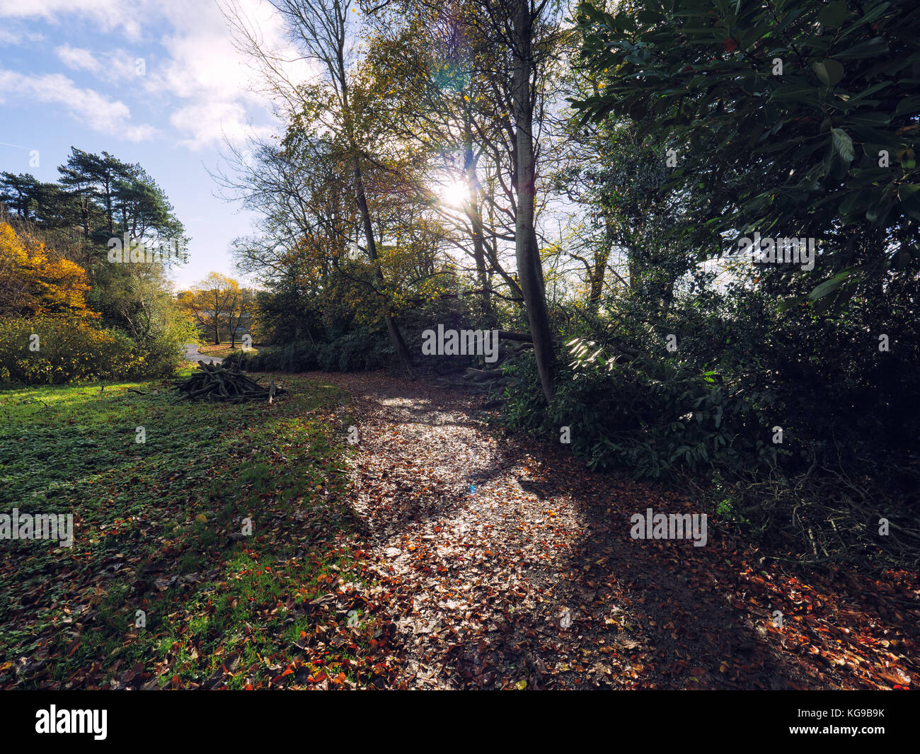 Early Autumn countryside morning,Northern Ireland Stock Photo - Alamy