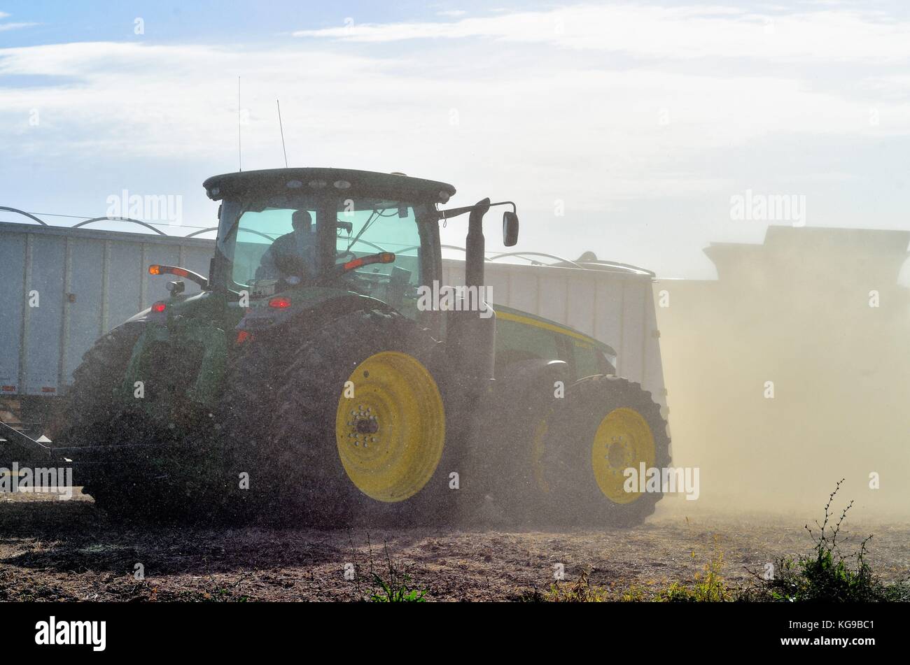 Dust from just harvested corn surrounds tractors, combines and trucks ...