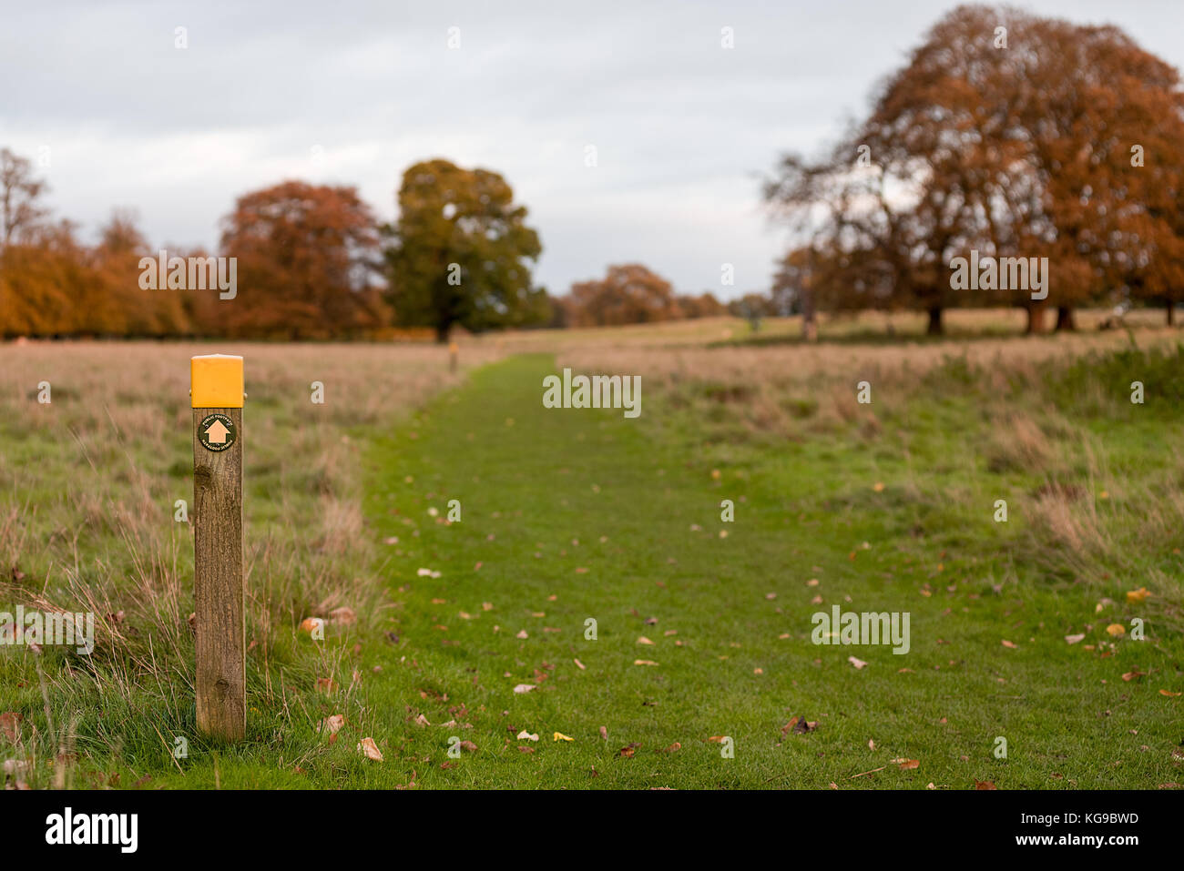 Footpath direction arrow hi-res stock photography and images - Alamy