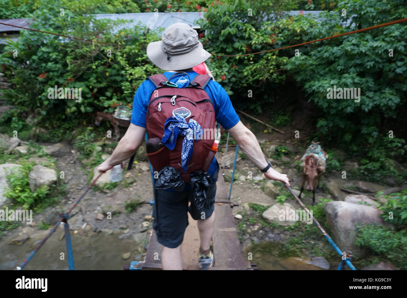 Crossing a cable bridge to our first camp site Stock Photo - Alamy