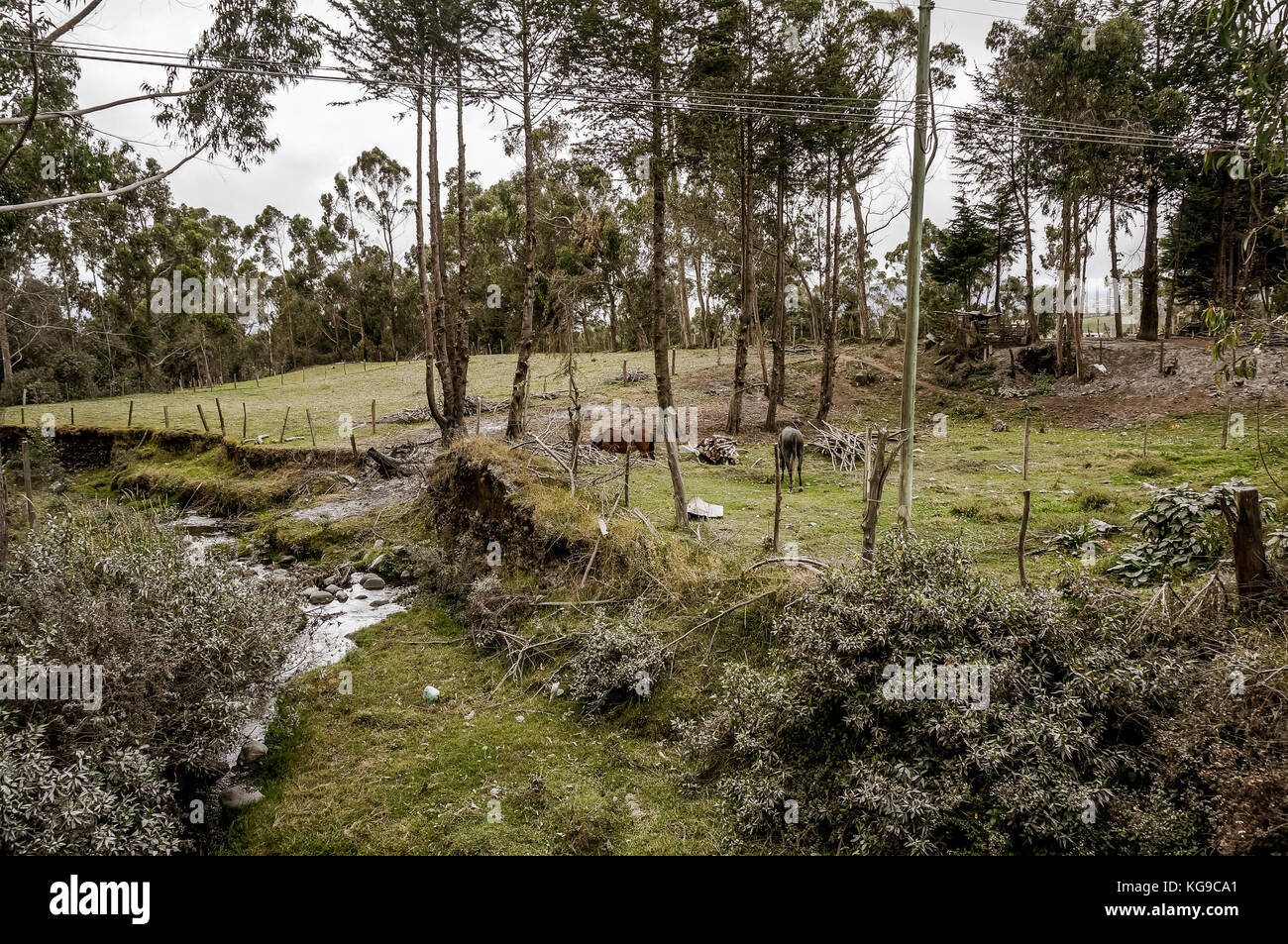 One a walk to the small shop in town Stock Photo - Alamy