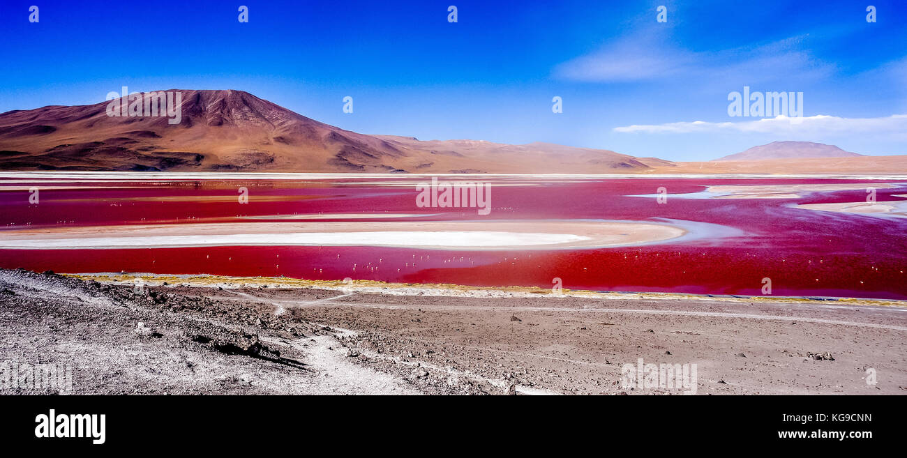 Laguna Colorada Bolivia High Resolution Stock Photography and Images ...