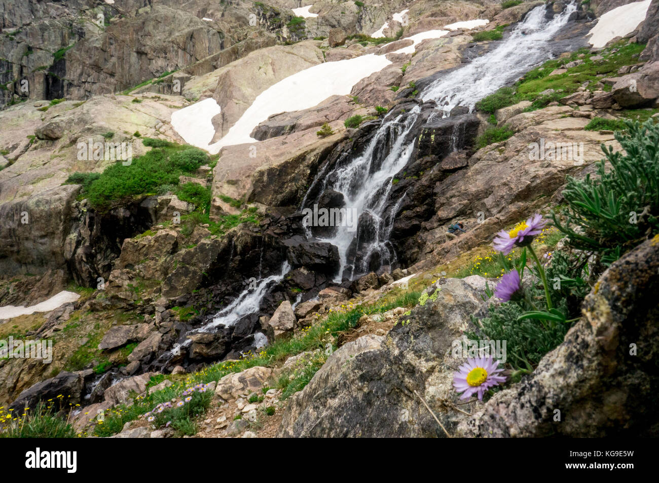 Rocky Mountain Grassy Field and Running Stream Stock Photo - Alamy