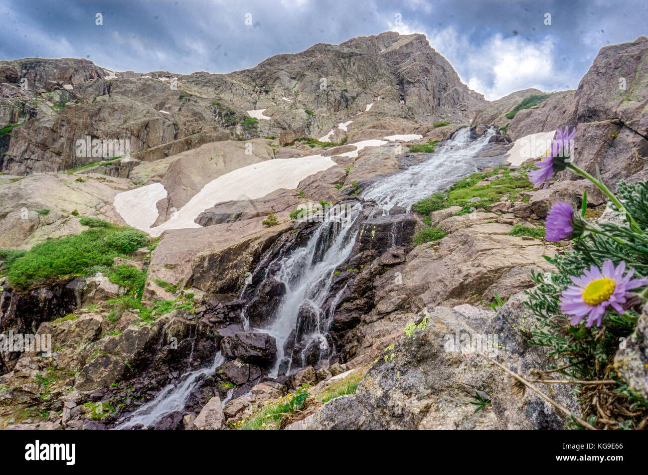 Hawaii flower waterfall hi-res stock photography and images - Alamy