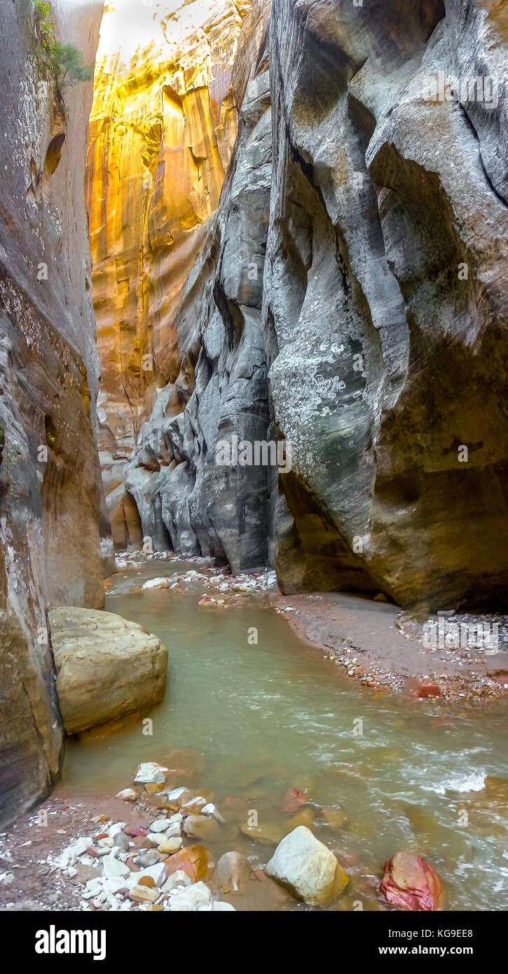 Hiking The Narrows at Zion National Park Stock Photo - Alamy