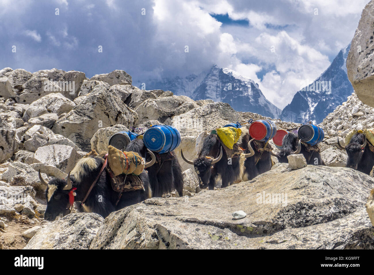 Day 8 of EBC Trek Stock Photo - Alamy