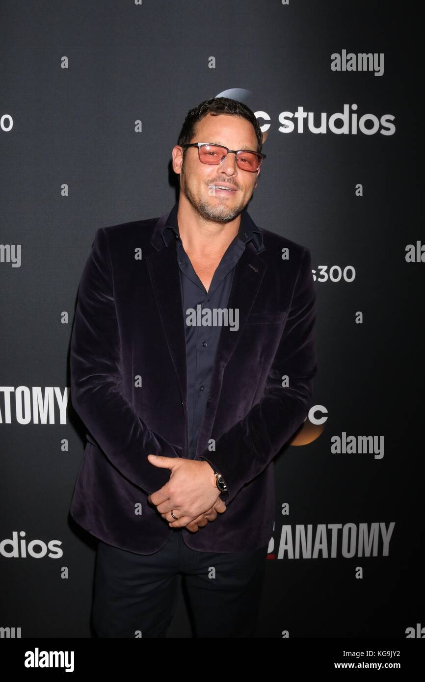 Los Angeles, CA, USA. 4th Nov, 2017. Justin Chambers at arrivals for ...
