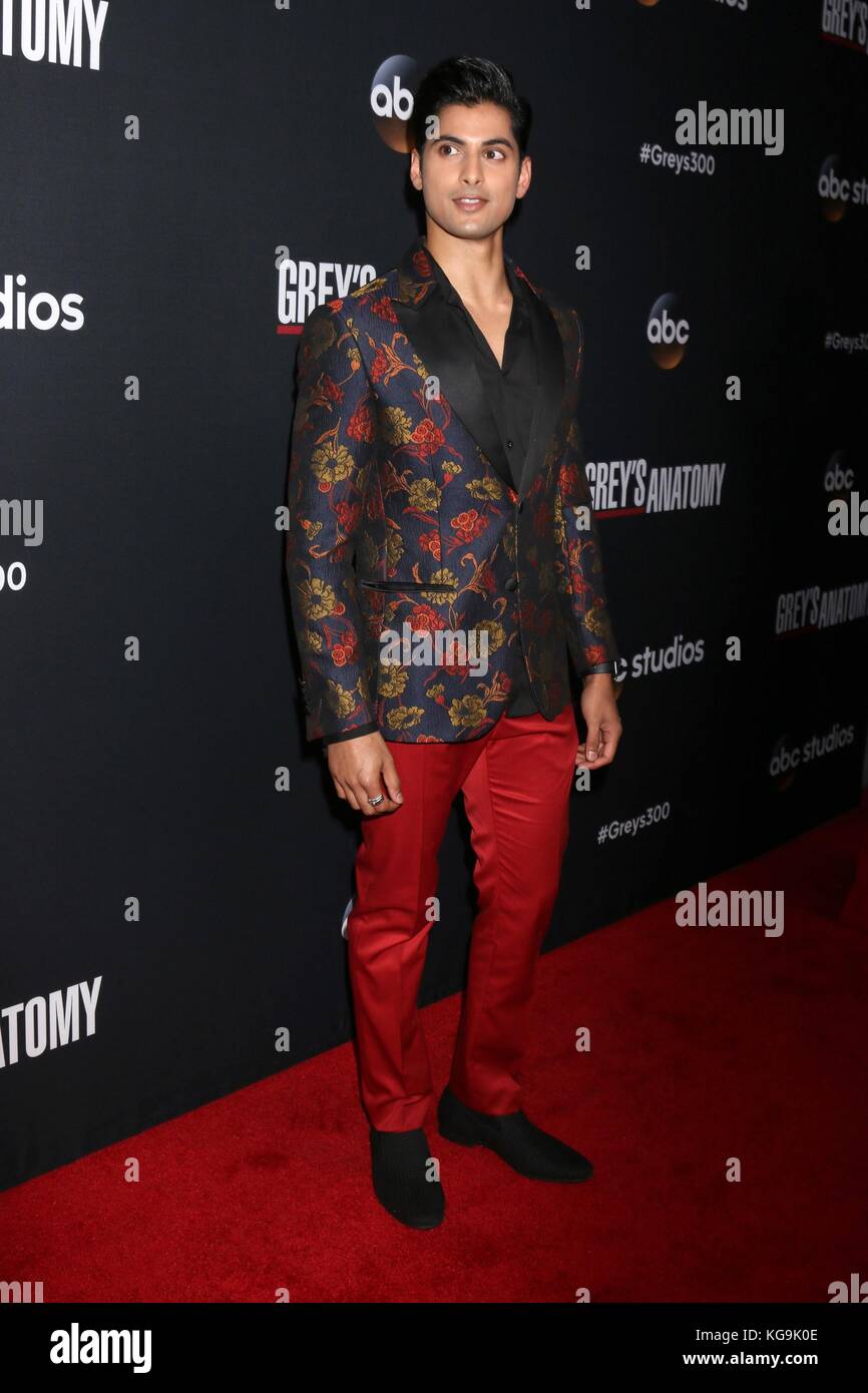 Rushi kota hi-res stock photography and images - Alamy