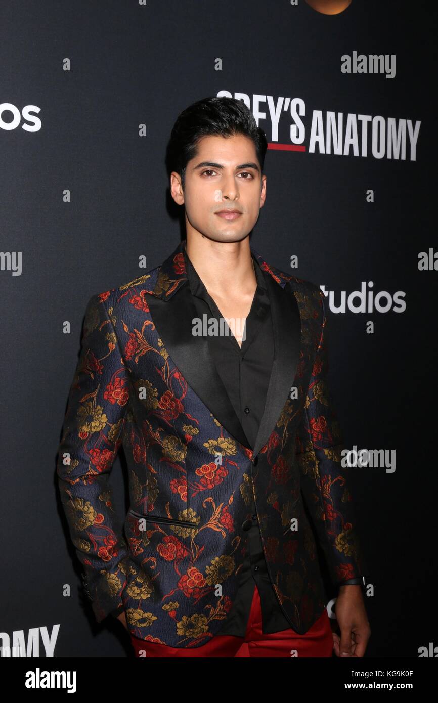 Los Angeles, CA, USA. 4th Nov, 2017. Rushi Kota at arrivals for GREY'S ...