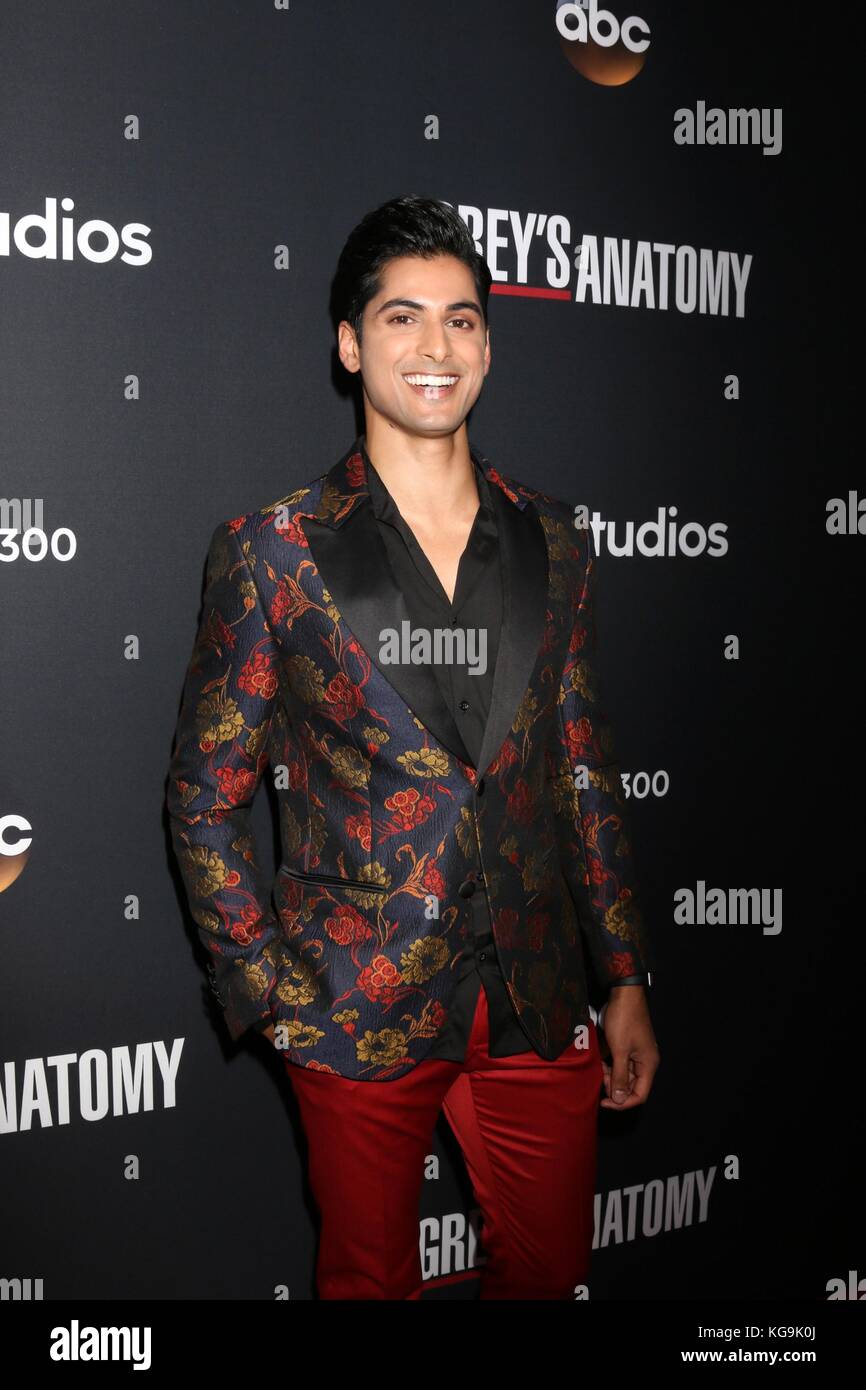 Los Angeles, CA, USA. 4th Nov, 2017. Rushi Kota at arrivals for GREY'S ...