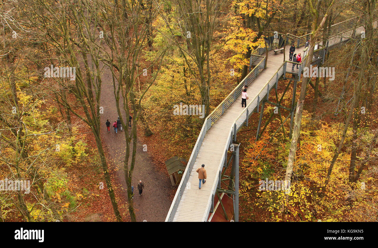 Eisenach, Germany. 4th Nov, 2017. People walk along the treetop path ...