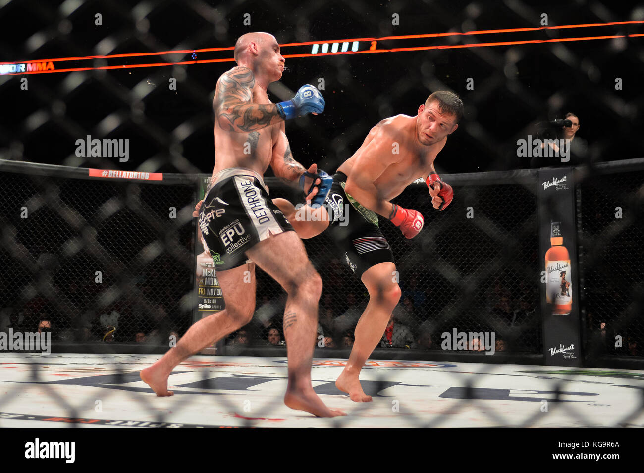 Logan storley hi-res stock photography and images - Alamy