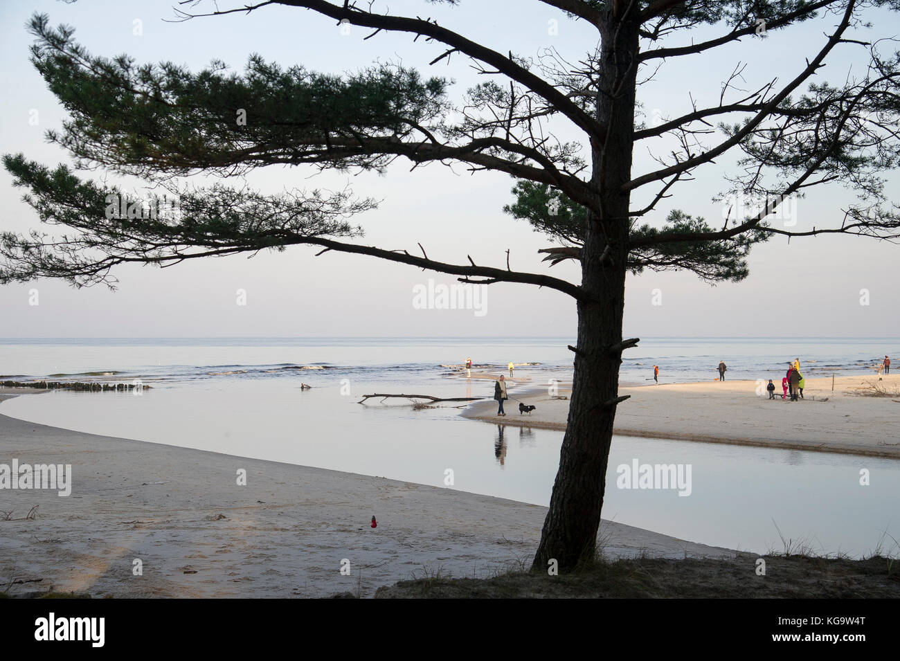 Debki, Poland. 5th Nov, 2017. River Piasnica estuary to the Baltic Sea ...