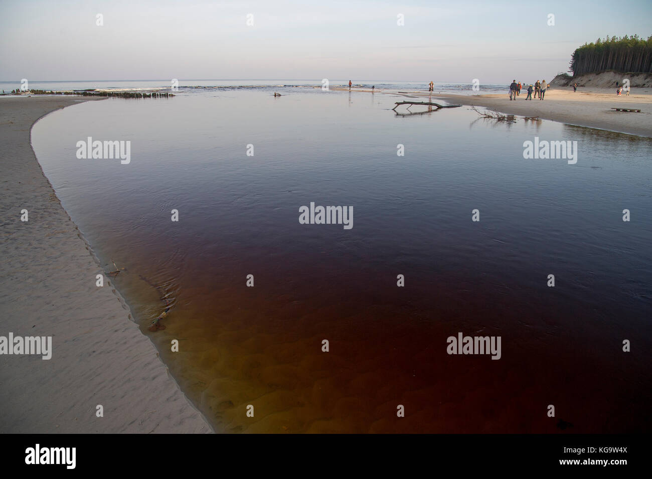 Debki, Poland. 5th Nov, 2017. River Piasnica estuary to the Baltic Sea ...