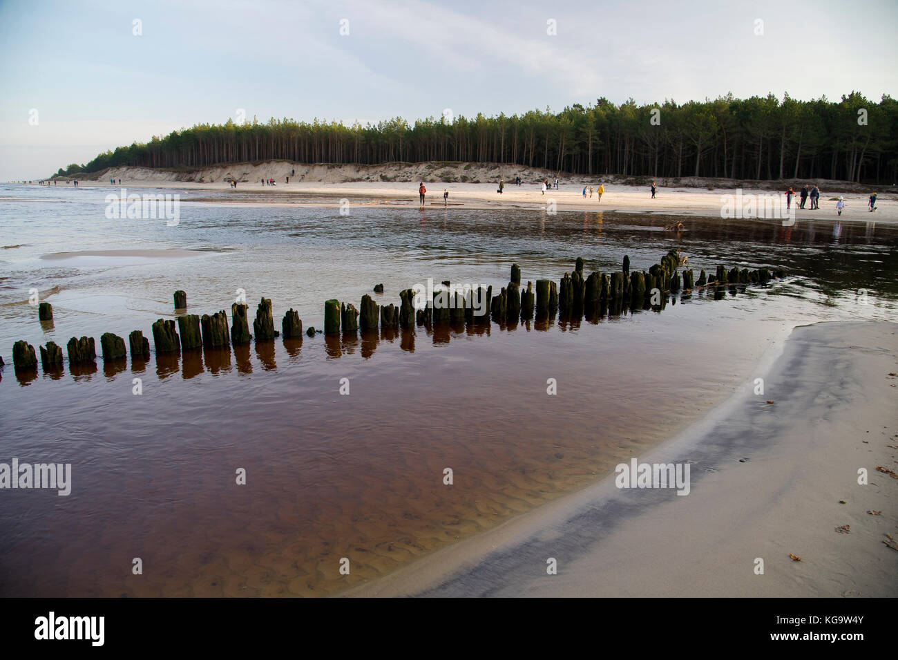 Debki, Poland. 5th Nov, 2017. River Piasnica estuary to the Baltic Sea ...