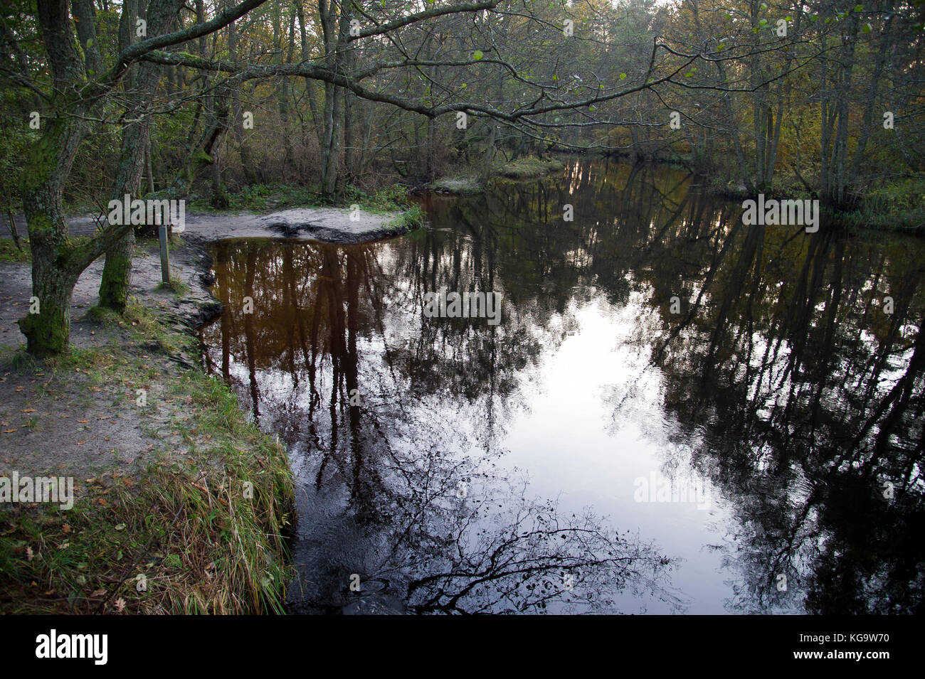 Debki, Poland. 5th Nov, 2017. River Piasnica estuary to the Baltic Sea ...