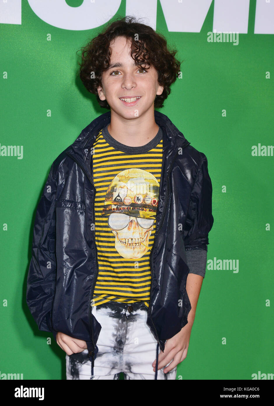 Los Angeles, USA. 05th Nov, 2017. Jason Drucker 079 attend the premiere ...