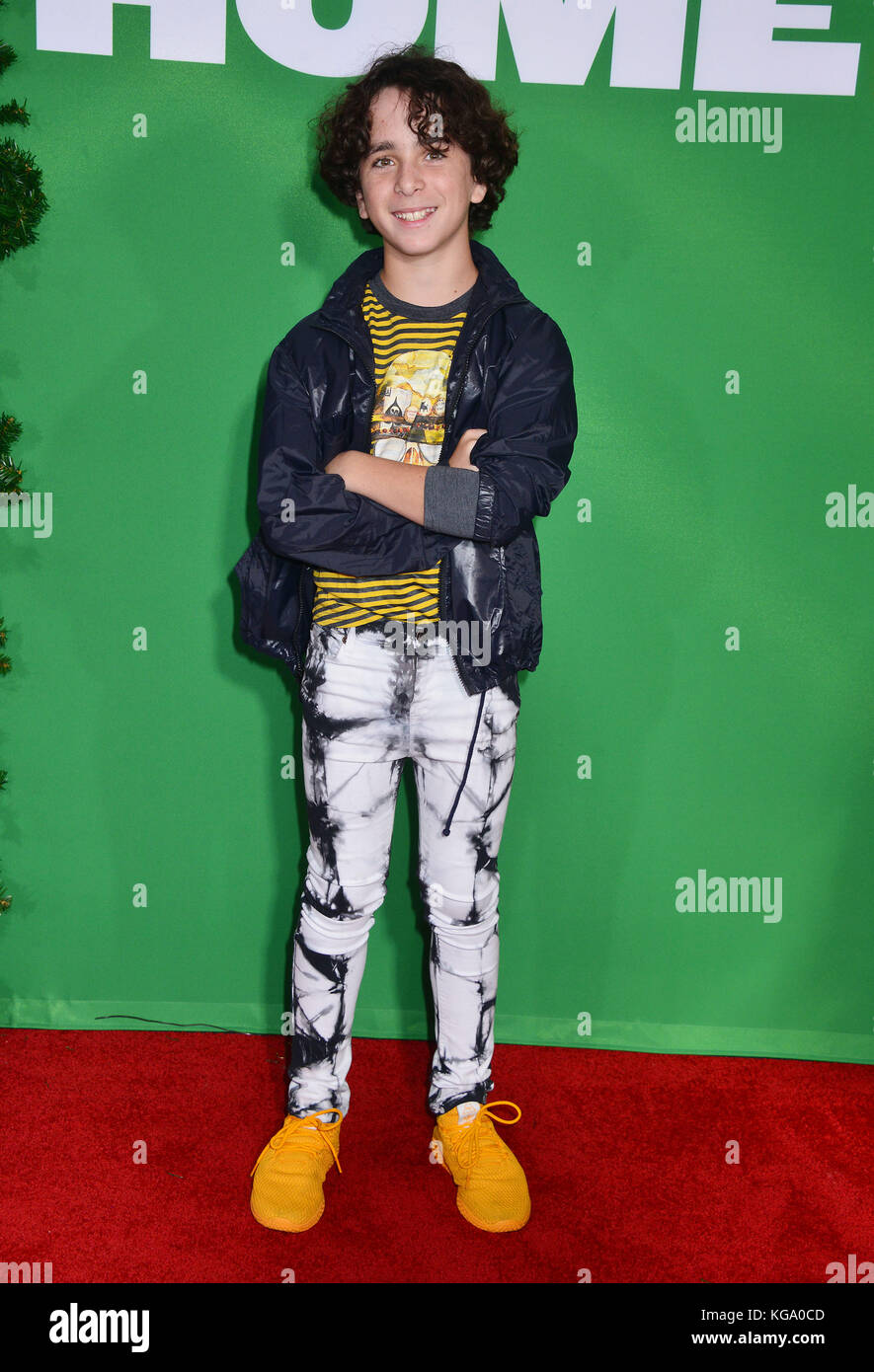 Los Angeles, USA. 05th Nov, 2017. Jason Drucker 082 attend the premiere ...