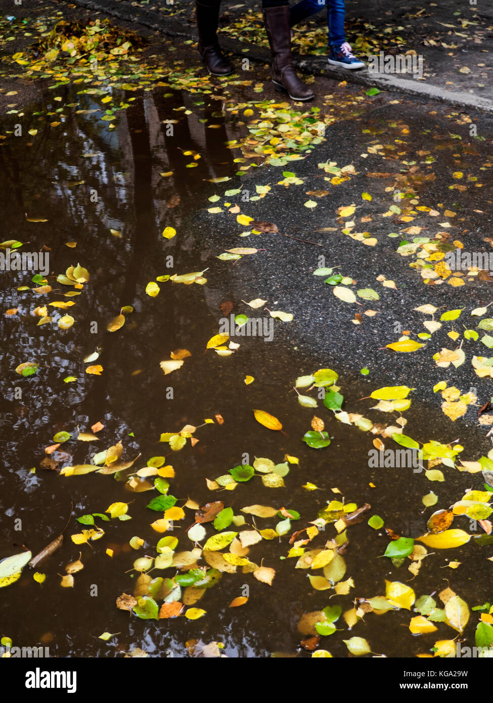 Bypasses hi-res stock photography and images - Alamy