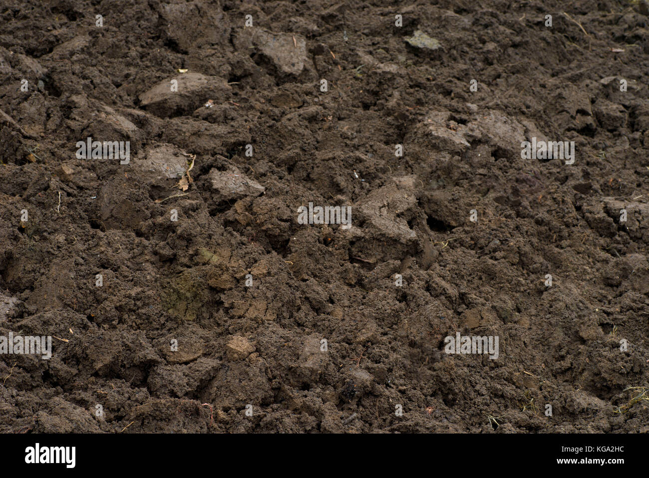 closeup to soil on field Stock Photo - Alamy