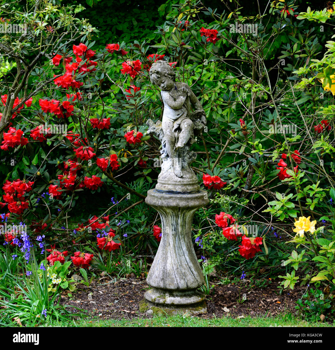 imp, statue, feature,Altamont Gardens, Corona North, red rhododendron ...