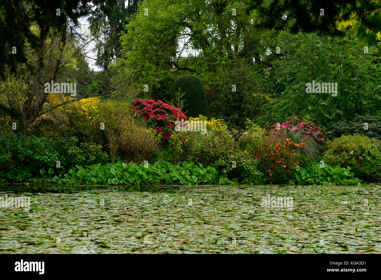 Altamont Gardens, Corona North, lake, pond, water feature, carlow ...