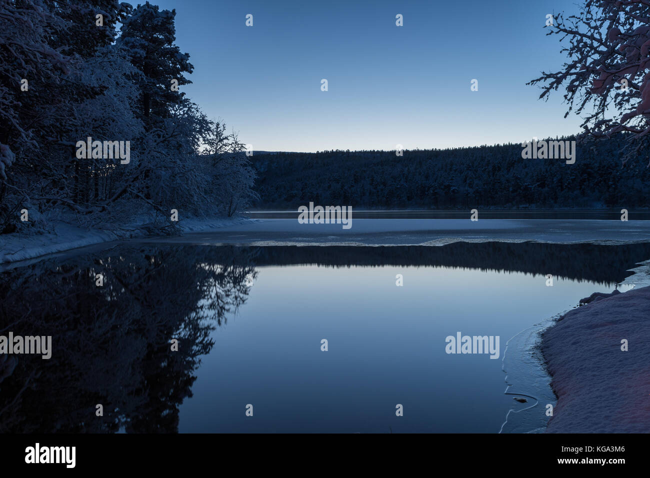 Early evening in the forest hi-res stock photography and images - Alamy